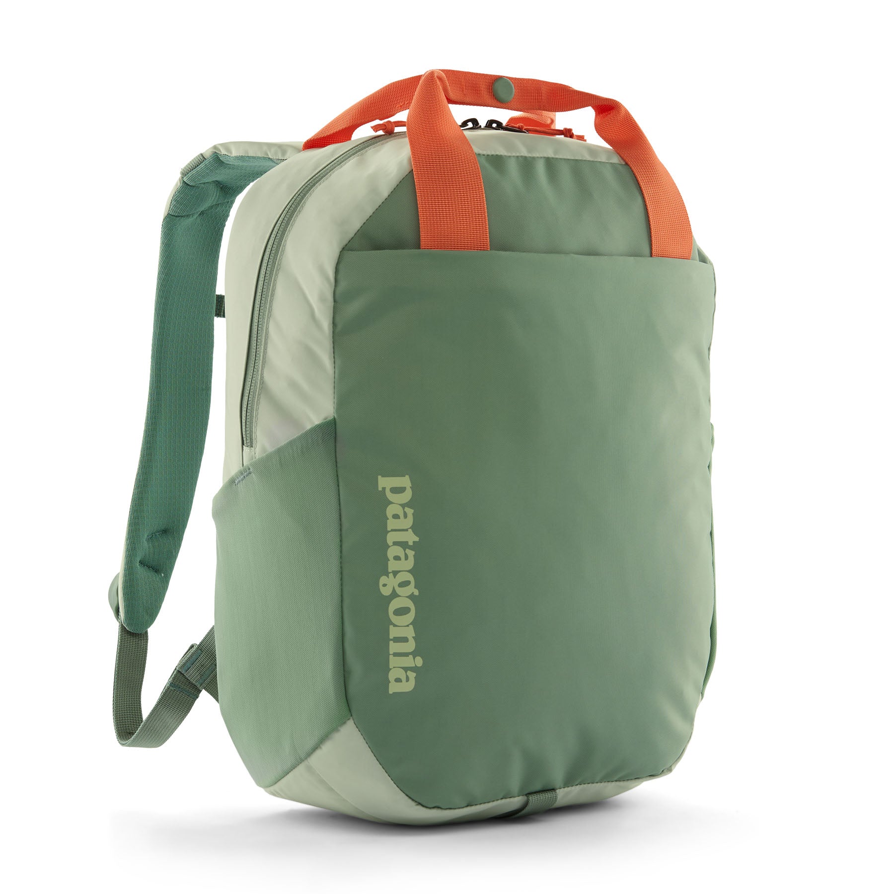 Atom Tote Pack 20L – Patagonia Worn Wear®